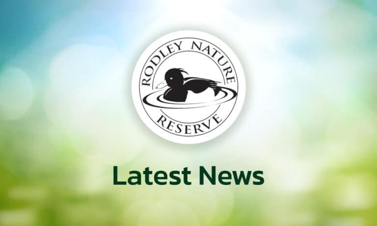 News | Rodley Nature Reserve | Rodley, Leeds